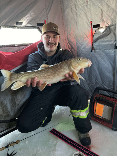 Master Angler Bubba Strain | Master Angler Manitoba
